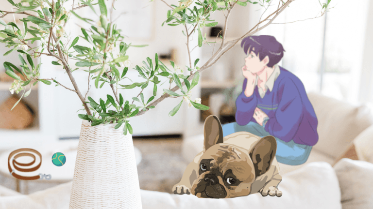 Housebound Survival: Best Tips and Tricks to Avoid Meltdown